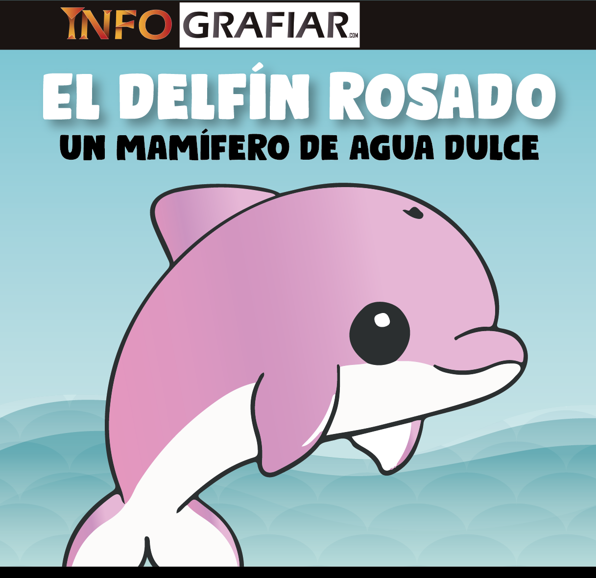 Infografia Animada Sobre El Delfin Rosado Inia
